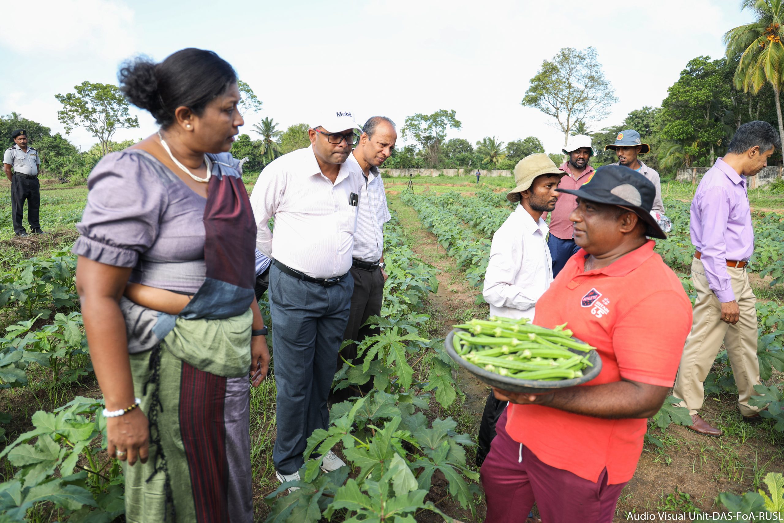 Harvesting Ceremony of Sustainable Agricultural Project – 15.12.2022 ...