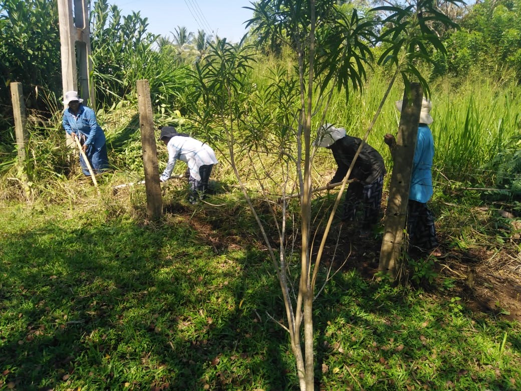 SHARAMADANA campaign at Rajarata University of Sri Lanka on 04.04.2023 ...