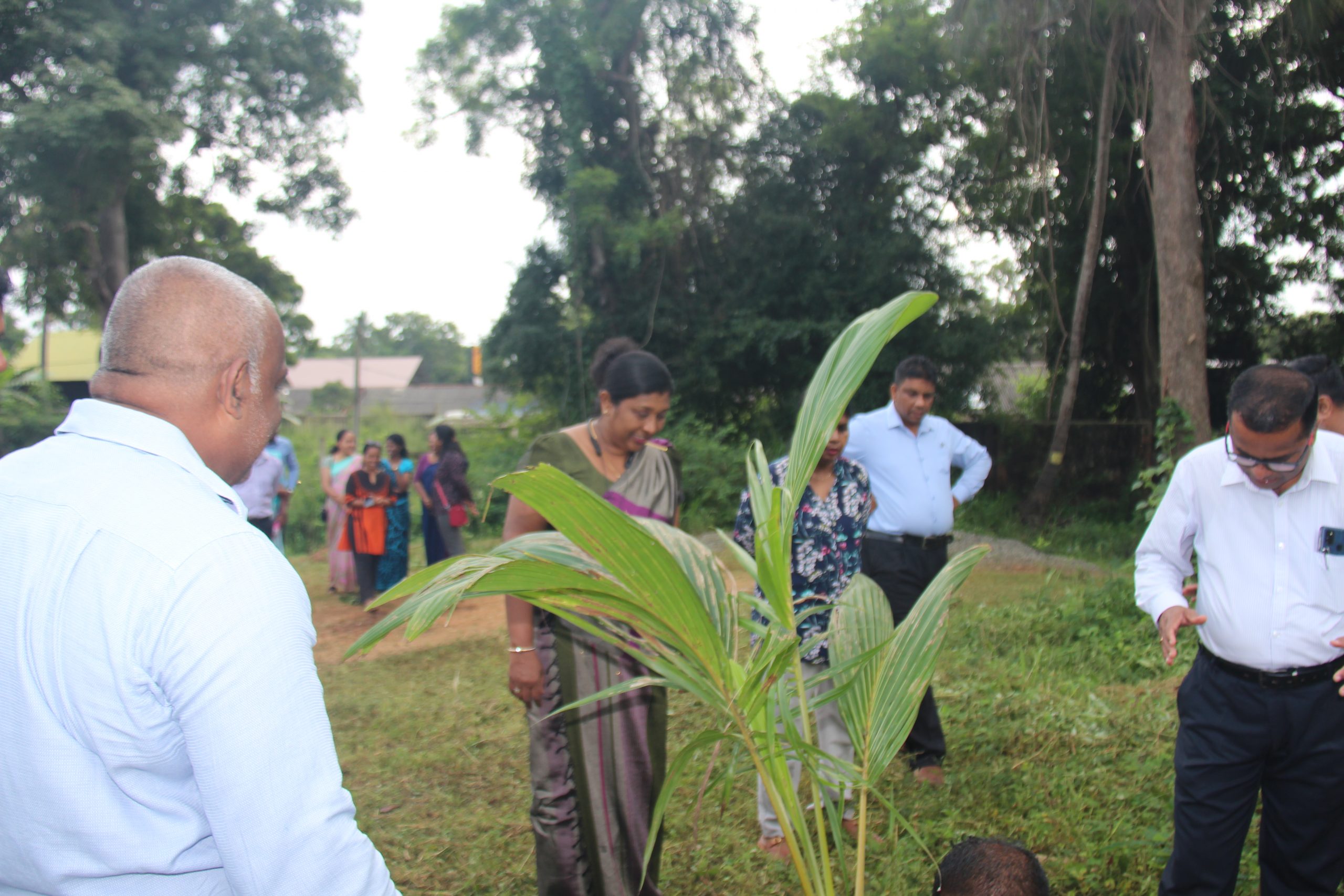 Tree Planting Program – Faculty of Agriculture - Rajarata University of ...