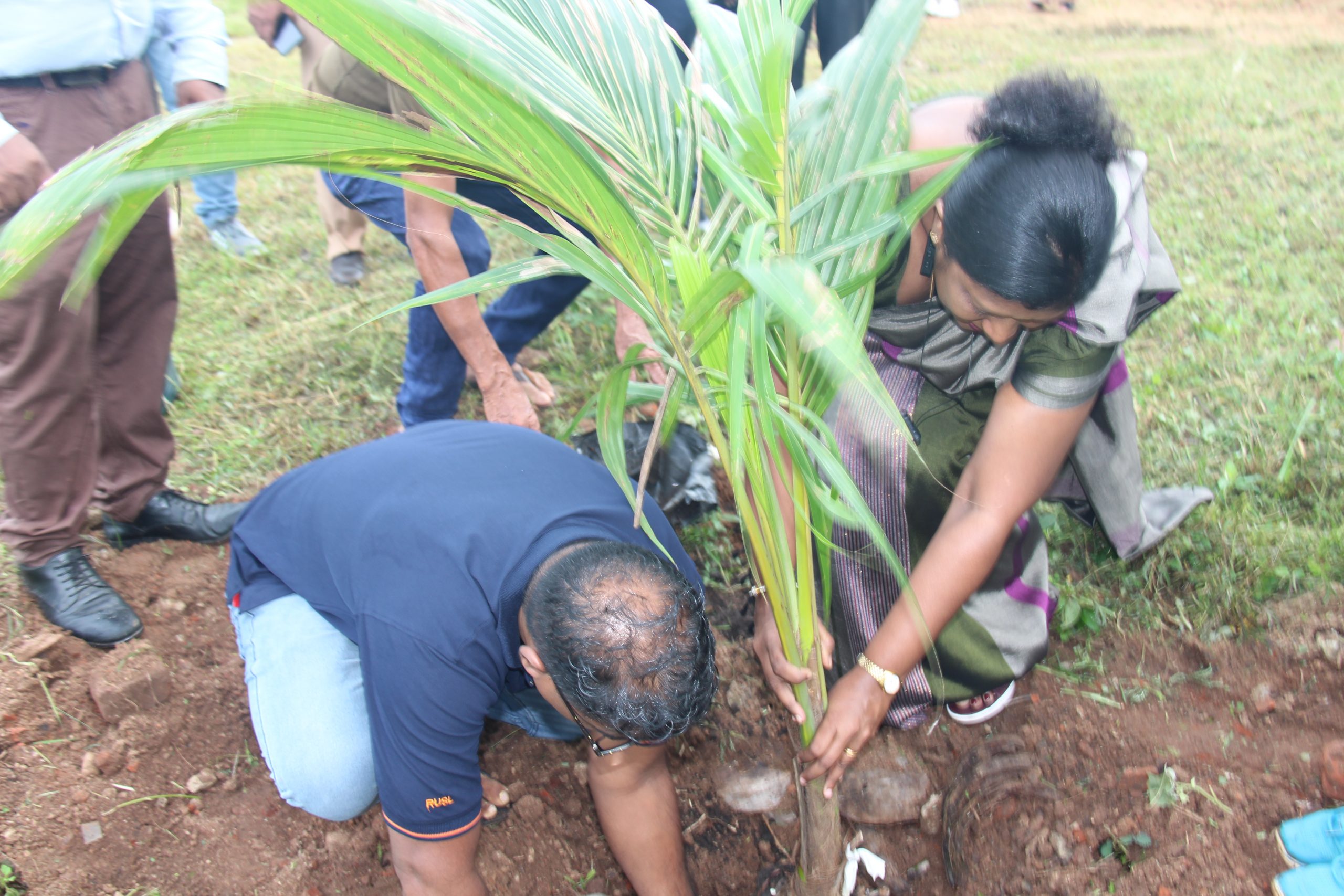 Tree Planting Program – Faculty of Agriculture - Rajarata University of ...
