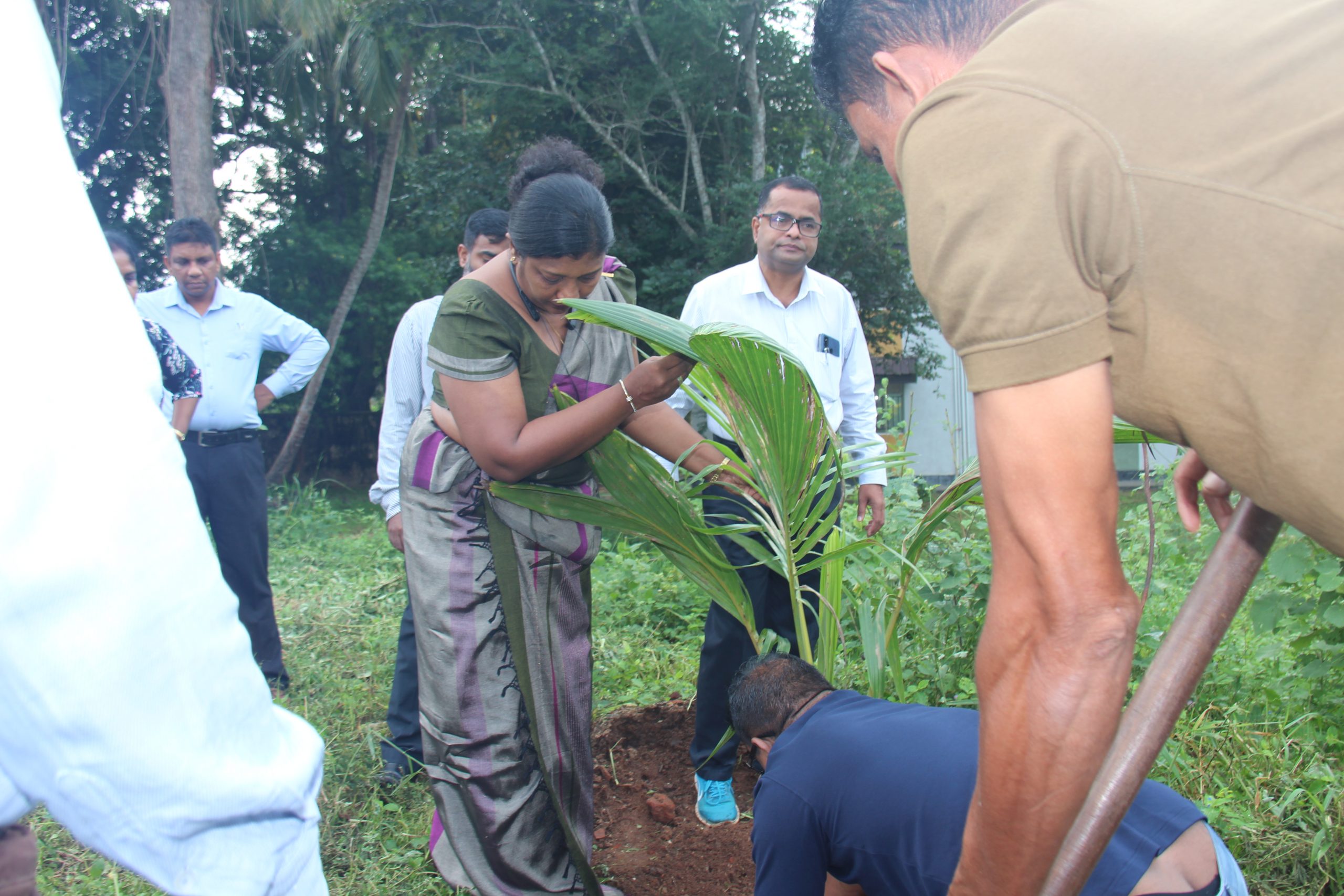 Tree Planting Program – Faculty of Agriculture - Rajarata University of ...