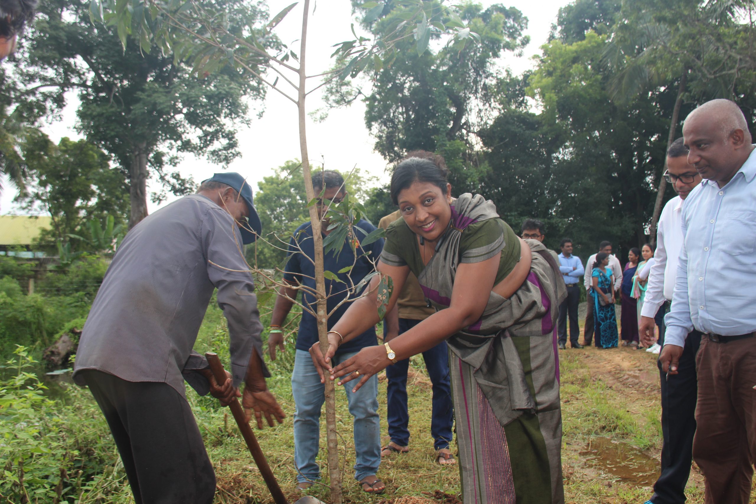 Tree Planting Program – Faculty of Agriculture - Rajarata University of ...