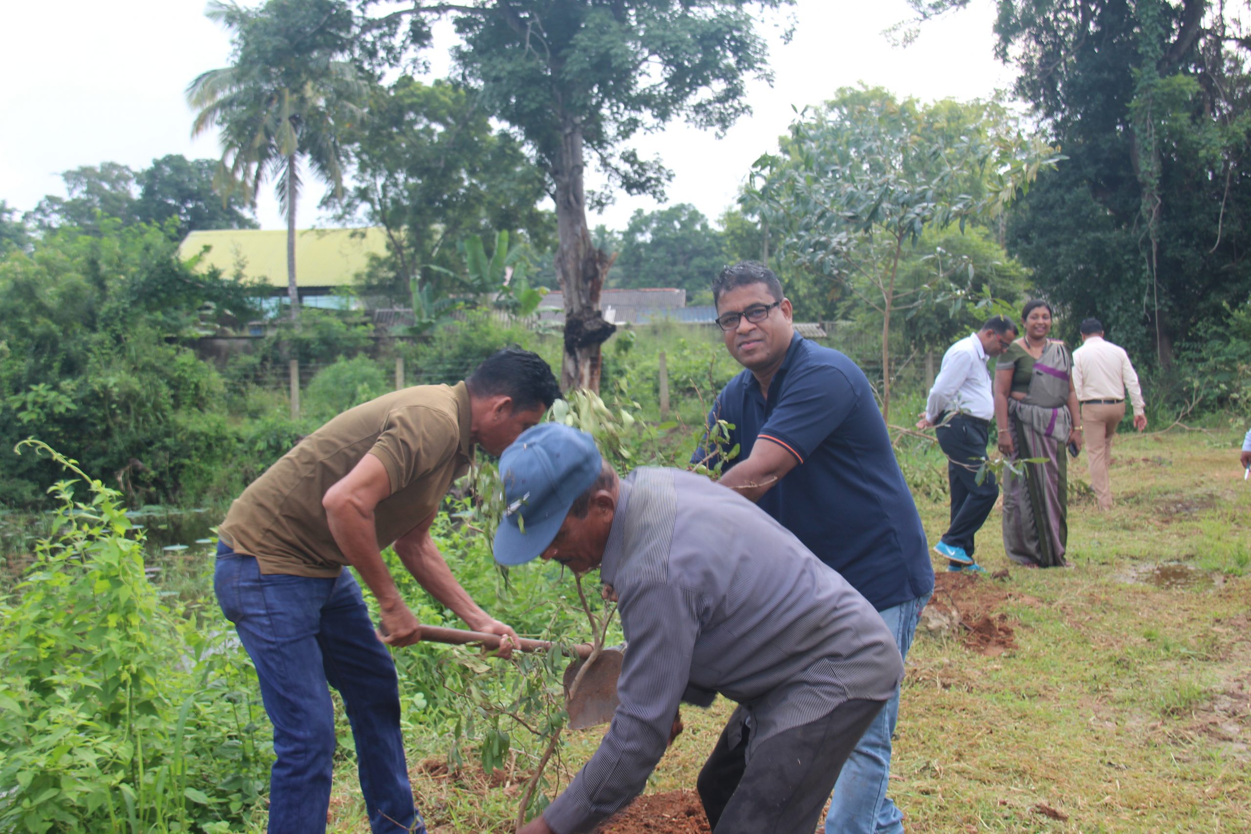 Tree Planting Program – Faculty of Agriculture - Rajarata University of ...