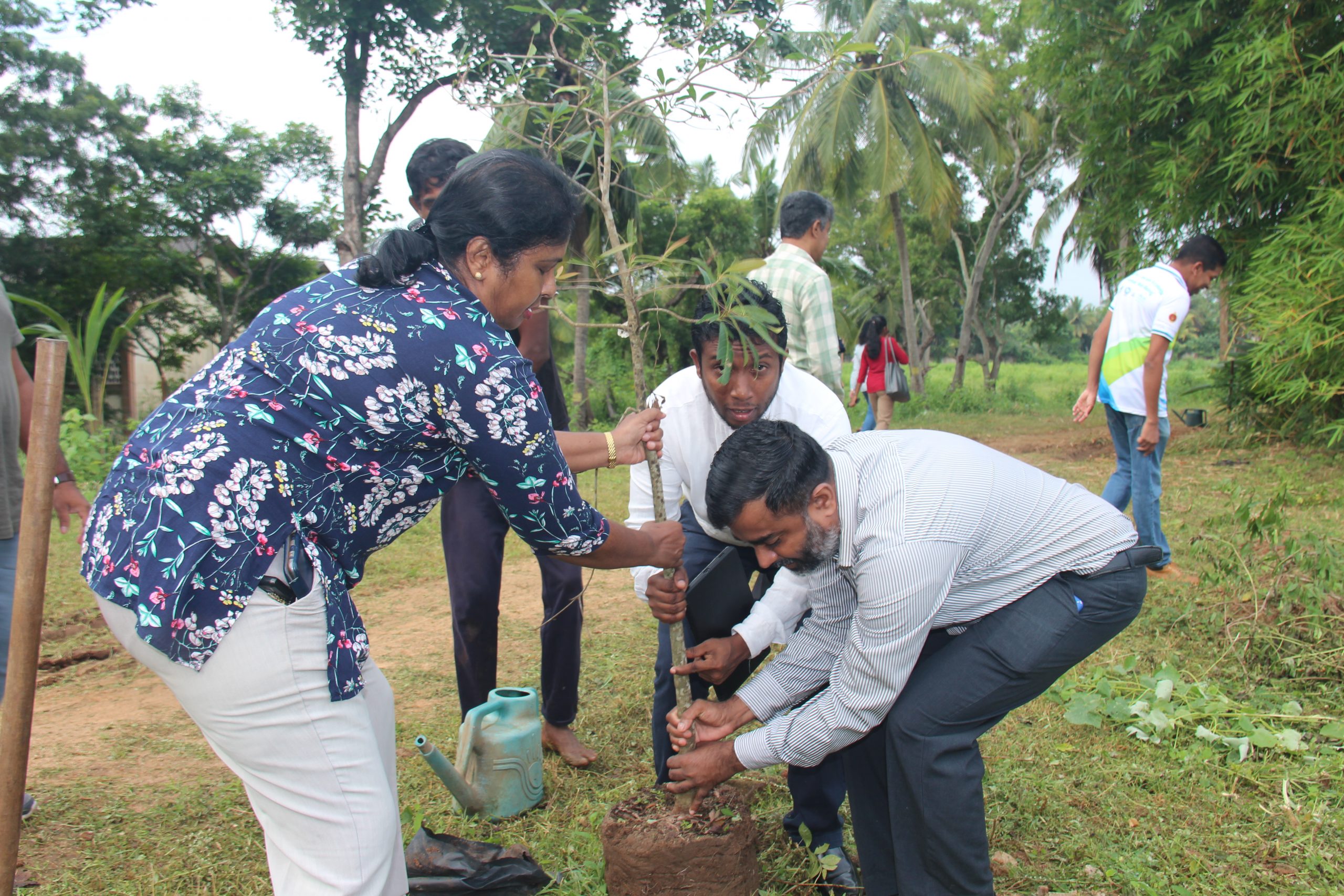 Tree Planting Program – Faculty of Agriculture - Rajarata University of ...