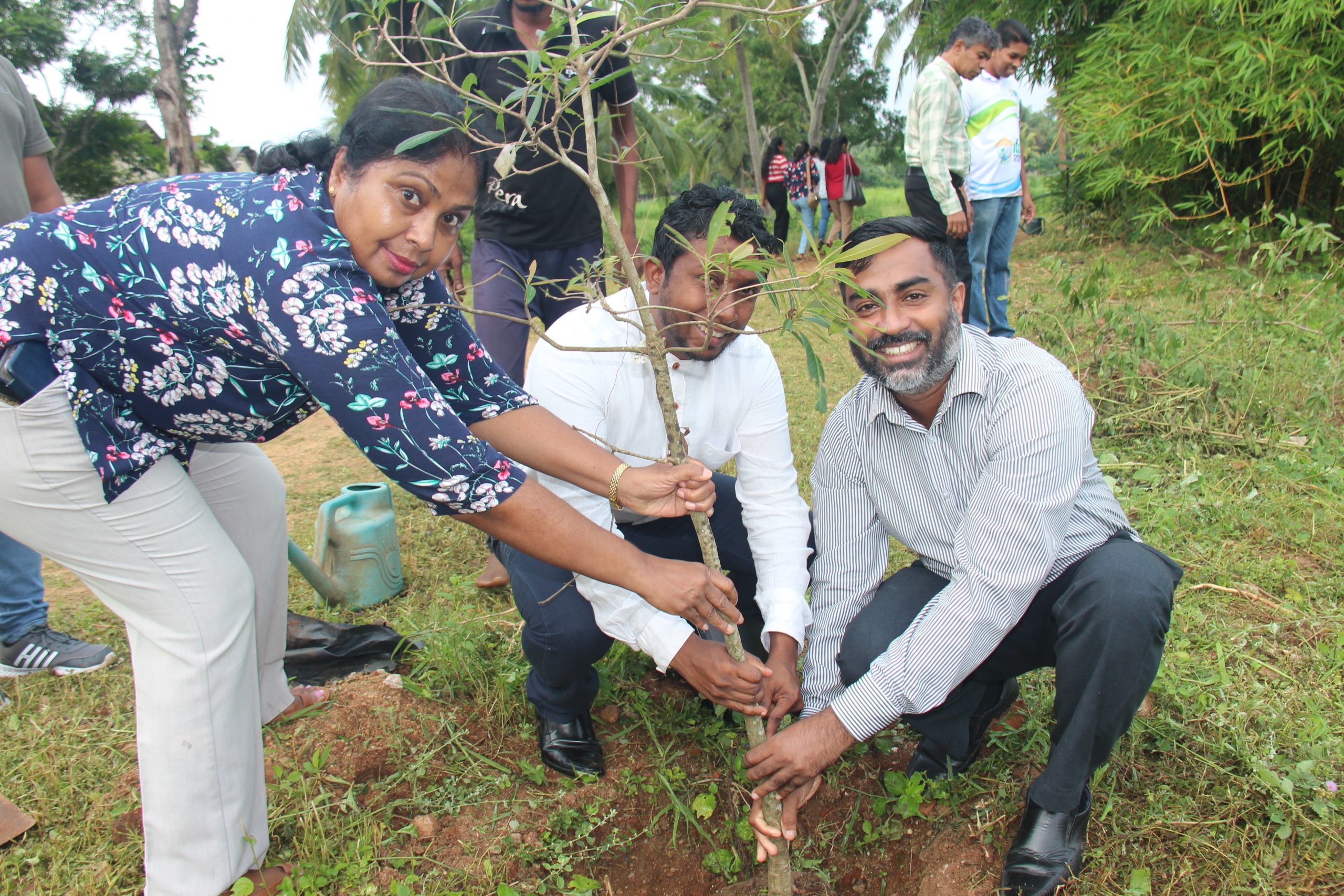 Tree Planting Program – Faculty of Agriculture - Rajarata University of ...