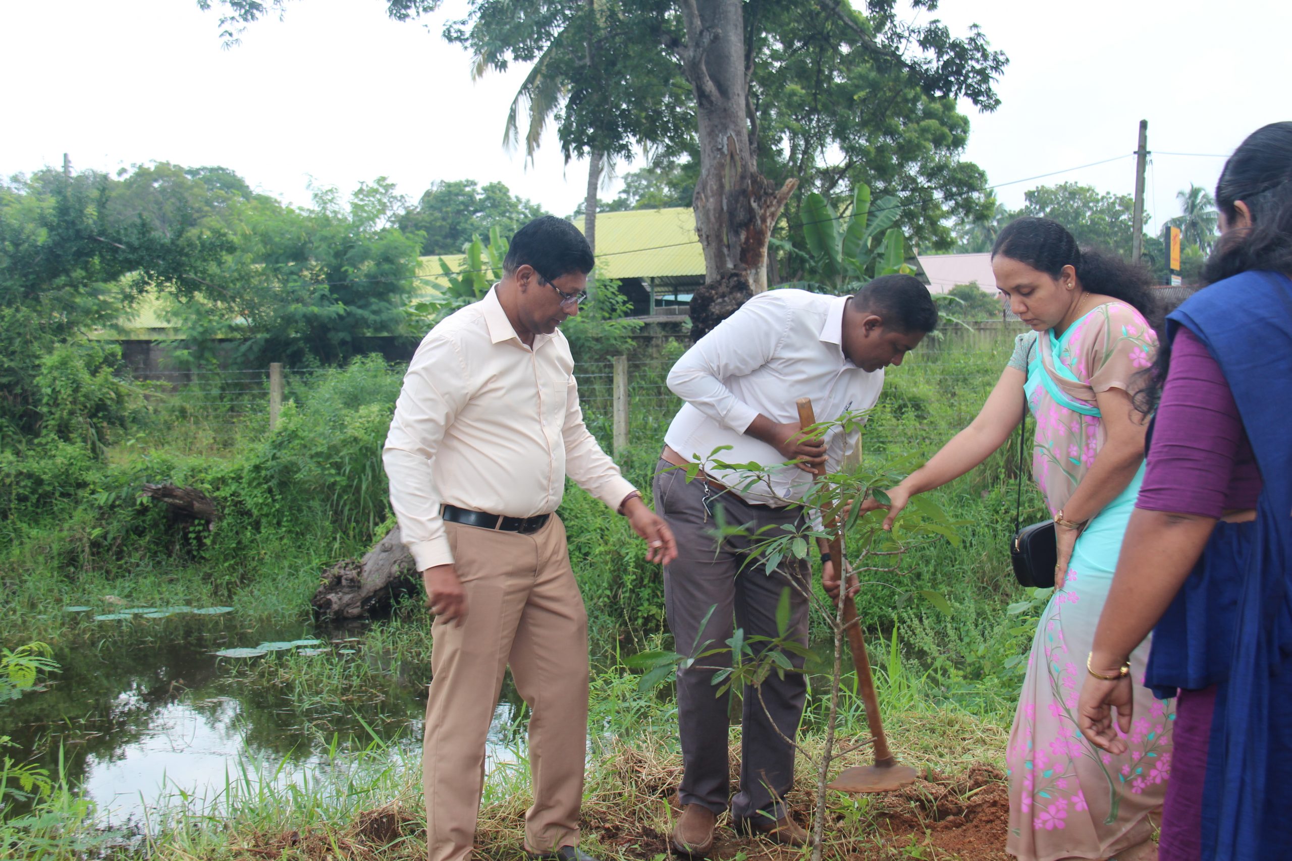 Tree Planting Program – Faculty of Agriculture - Rajarata University of ...