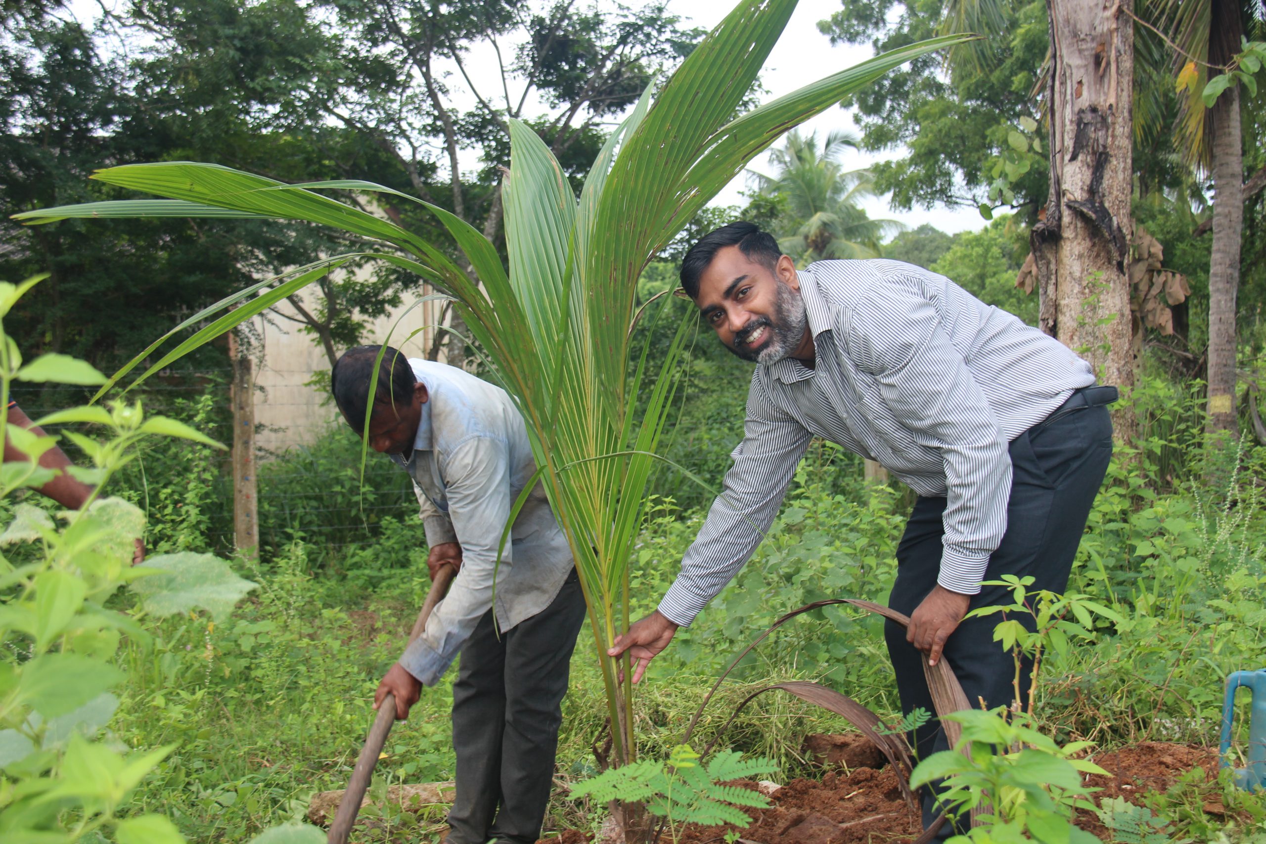 Tree Planting Program – Faculty of Agriculture - Rajarata University of ...