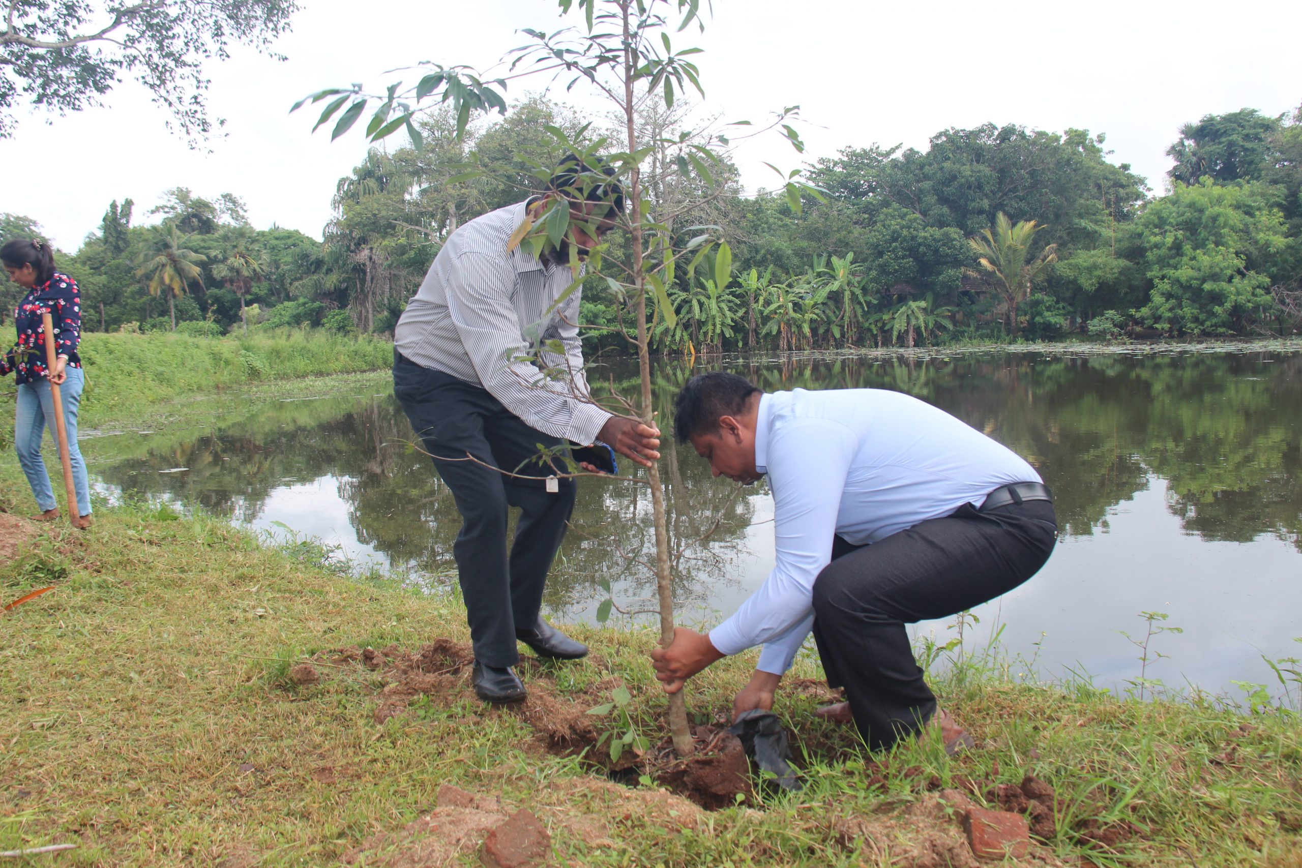 Tree Planting Program – Faculty of Agriculture - Rajarata University of ...