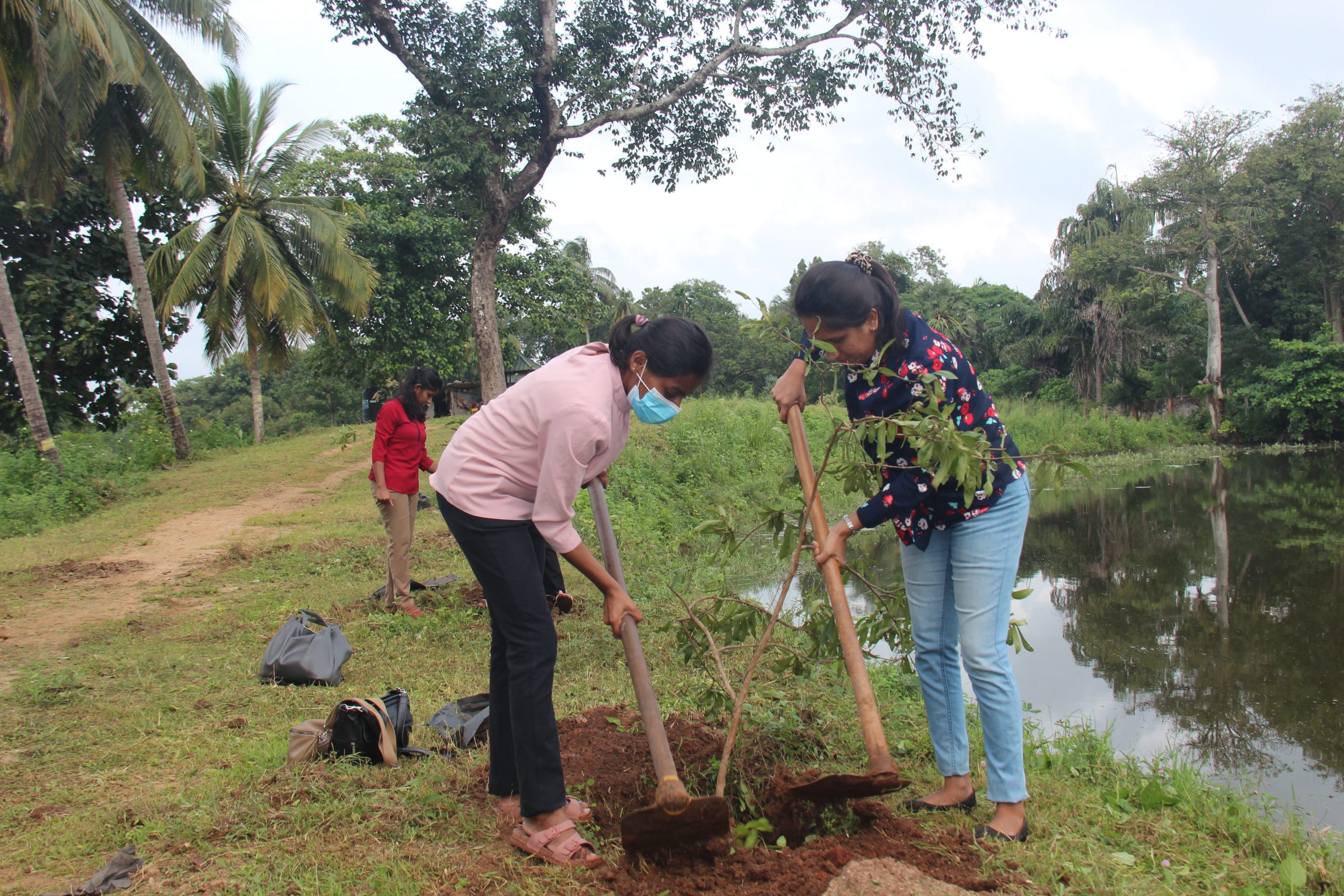 Tree Planting Program – Faculty of Agriculture - Rajarata University of ...